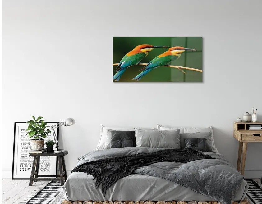 Obraz na skle Barevné papoušek na větvi 140x70 cm