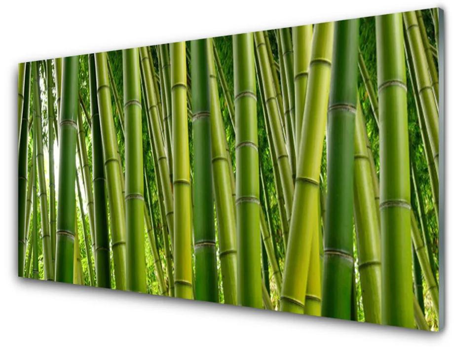 Plexisklo-obraz Bambusový Les Bambusové Výhonky 120x60 cm