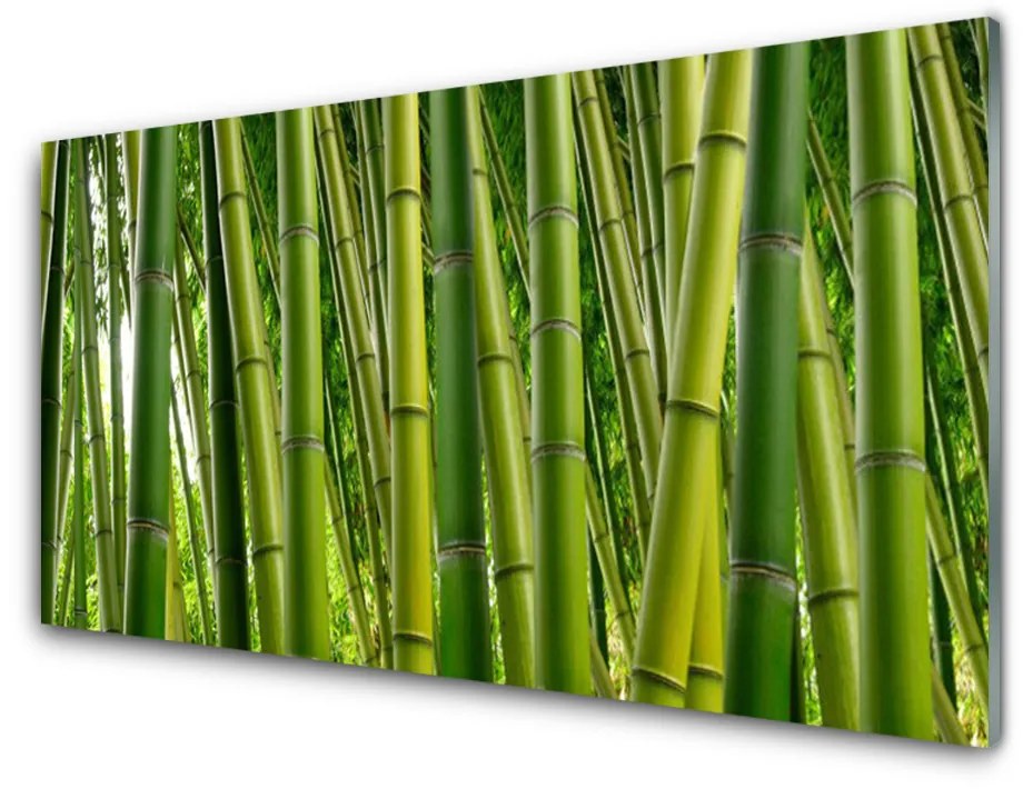 Plexisklo-obraz Bambusový Les Bambusové Výhonky 125x50 cm