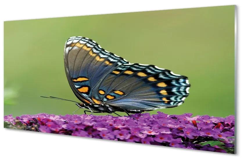 Obraz na skle Barevný motýl na květiny 100x50 cm