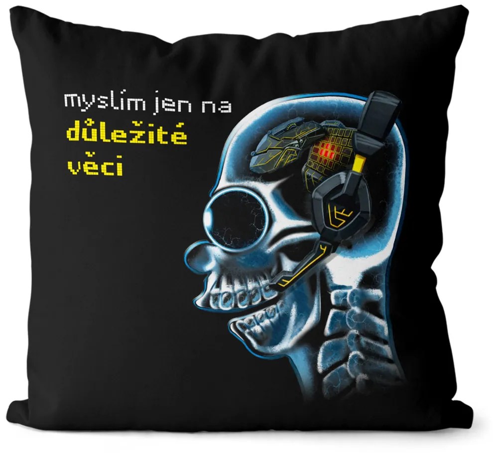 Polštář Důležité věci – gamer (Velikost: 55 x 55 cm)