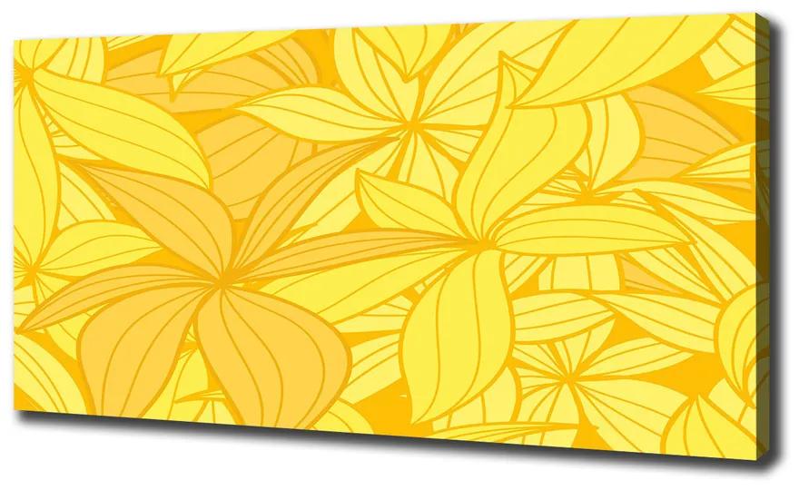 Wallmuralia Foto obraz tištěný na plátně Žluté květiny pozadí 140x70 cm