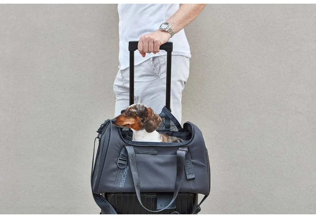 Náhradní podložka pro Cestovní tašku pro psy MiaCara Volata Airline 41 x 27,5 x 2,5 cm Velikost: SM -55 x 32 x 2,5 cm