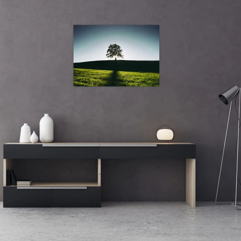 Skleněný obraz přírody - strom (70x50 cm)
