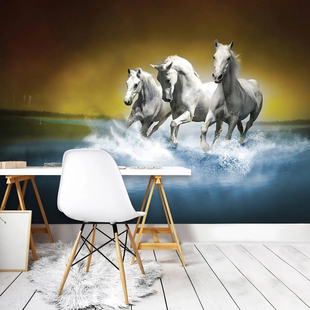 Fototapeta - Bílý kůň tryskem na vodě (254x184 cm)
