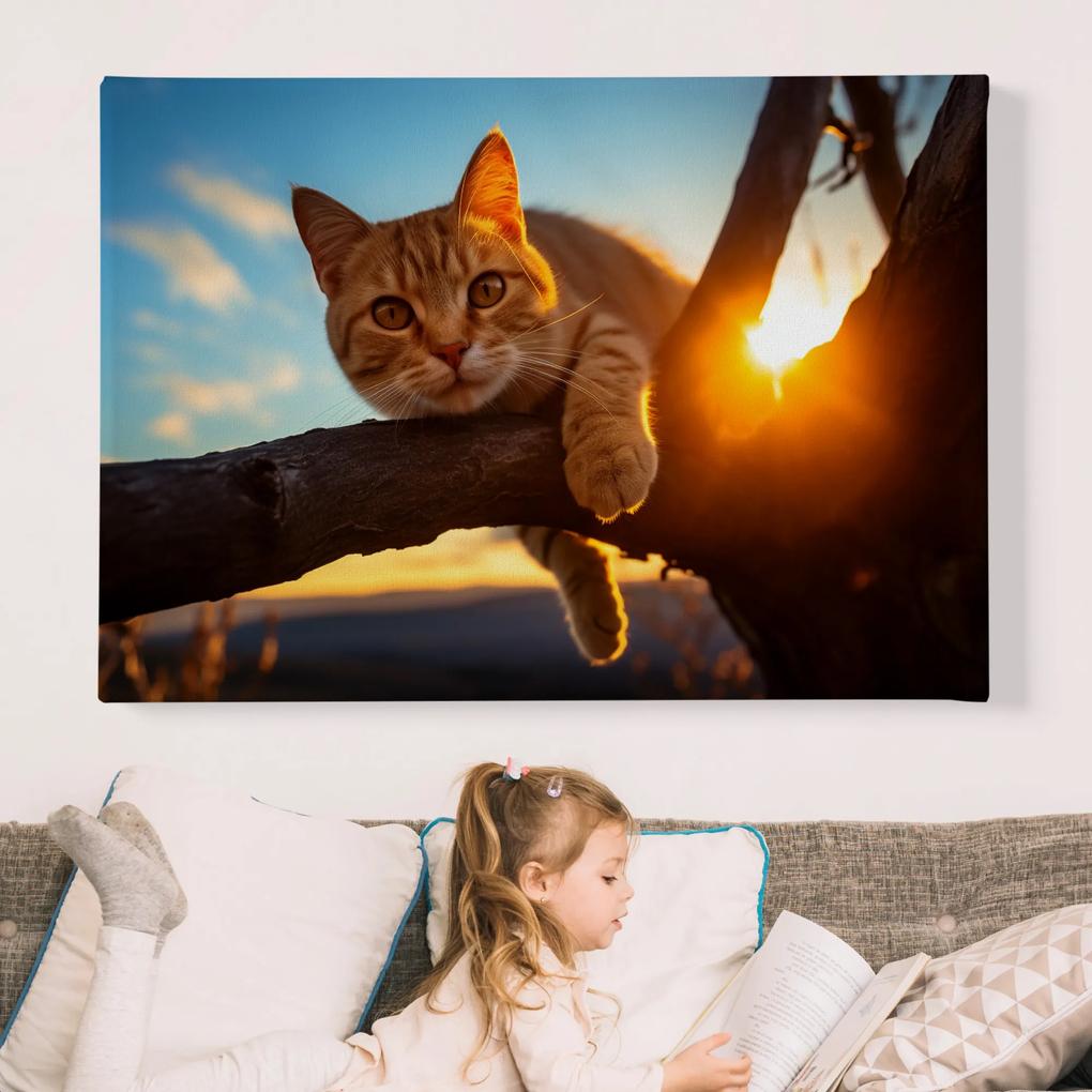 Obraz na plátně - Kočka na větvi při západu slunce FeelHappy.cz Velikost obrazu: 180 x 120 cm