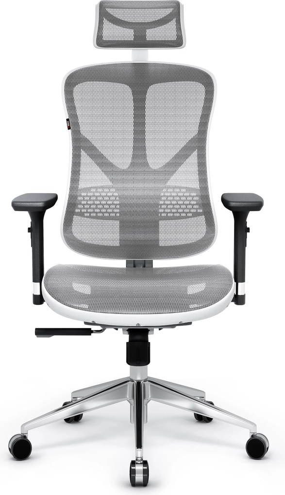 Ergonomická kancelářská židle ze síťoviny, bílý-šedý: Diablo V-Basic
