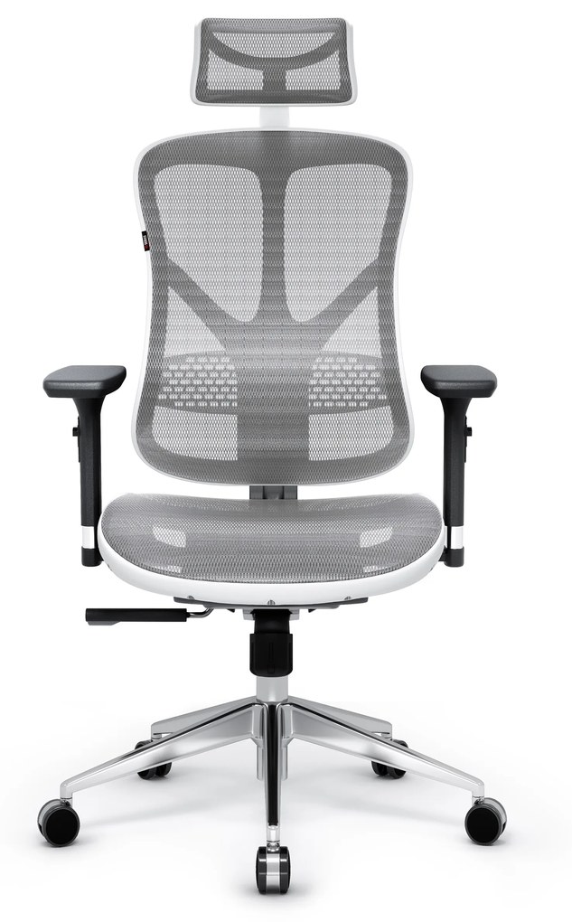 Ergonomická židle DIABLO V-BASIC: bílo-šedá Diablochairs