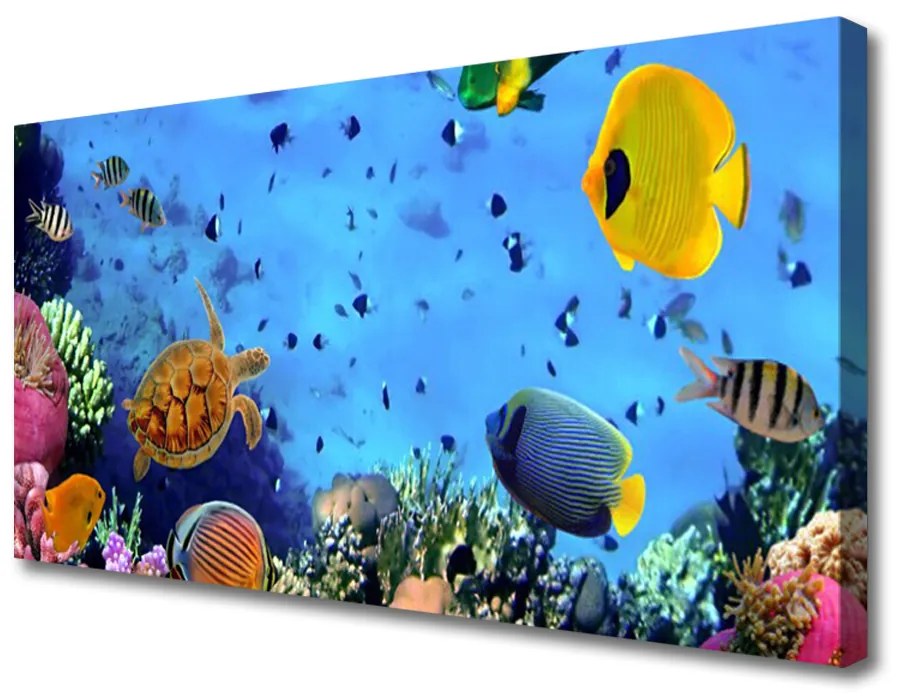 Obraz na plátně Korálový Útes Ryba Příroda 100x50cm