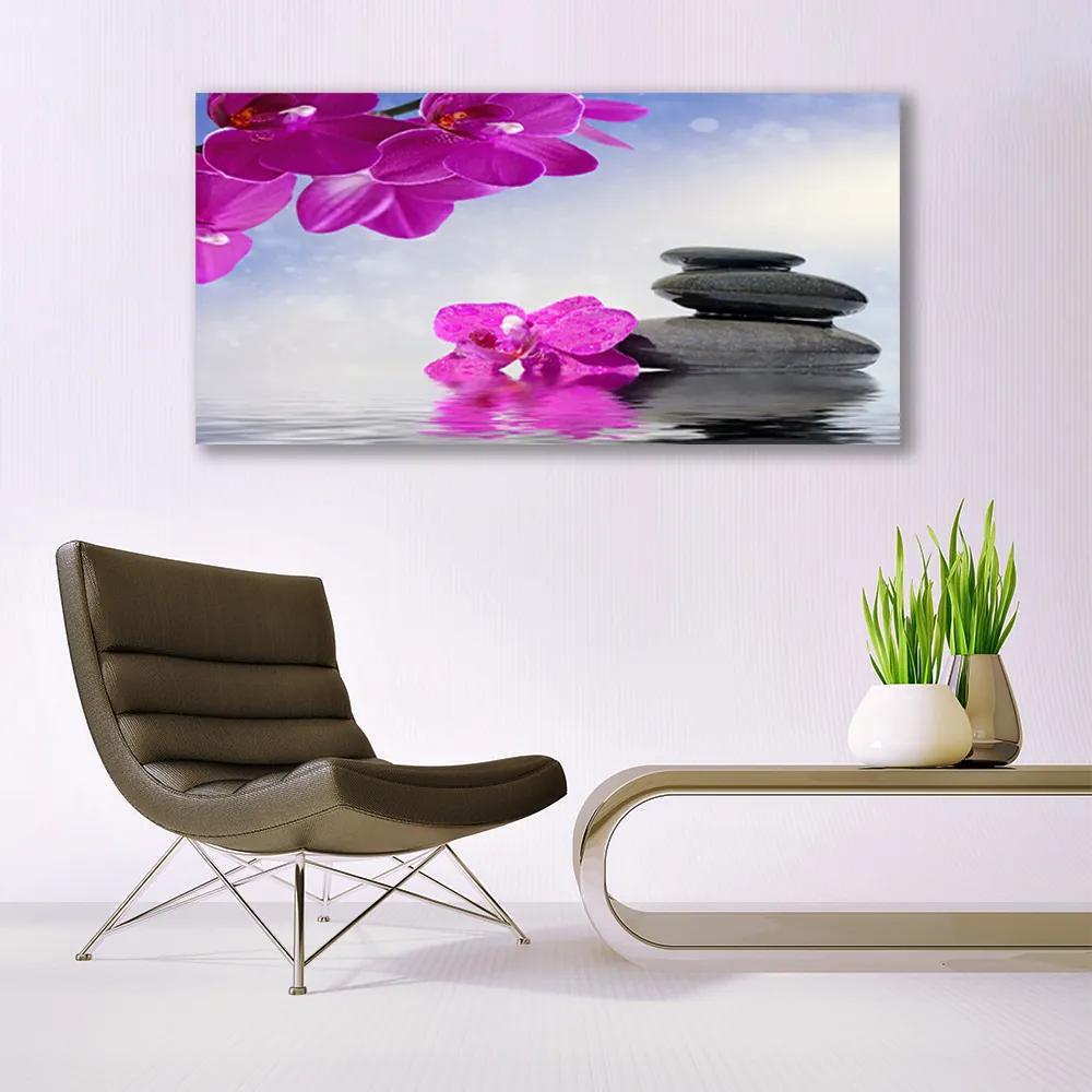 akrylový obraz Květiny Kameny Rostlina 120x60 cm