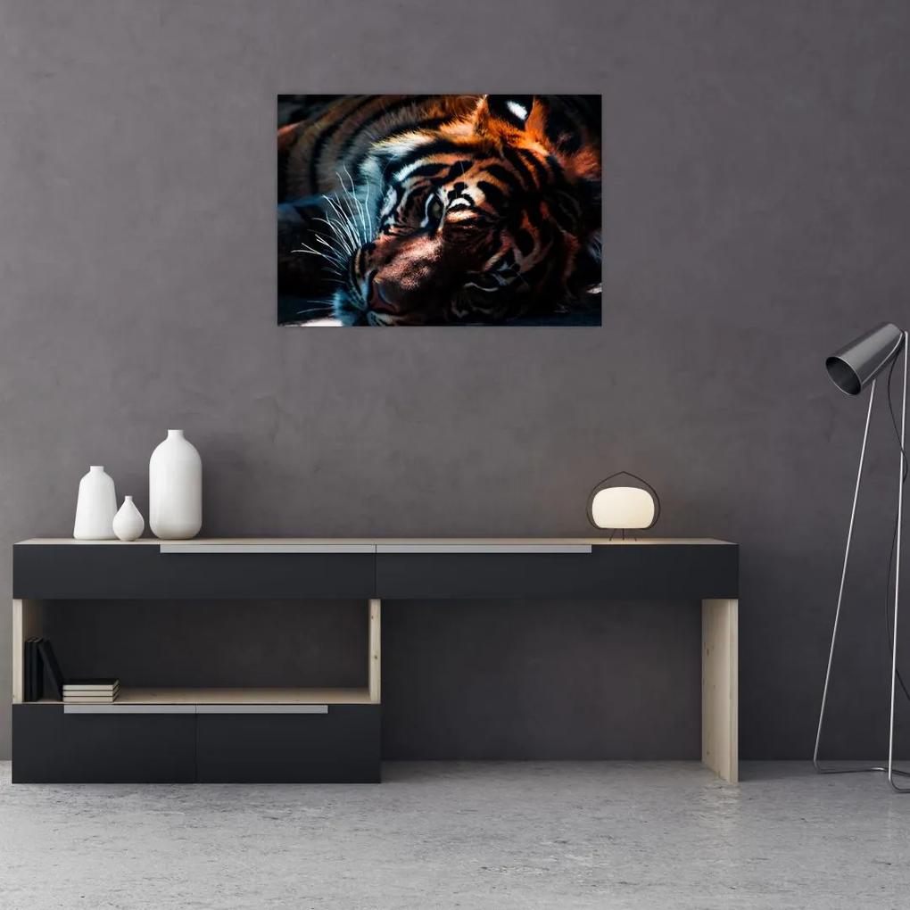 Skleněný obraz ležícího tygra (70x50 cm)