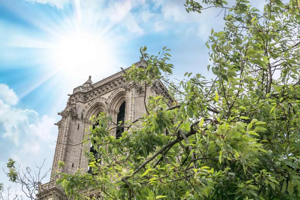 DIMEX | Samolepicí vliesová fototapeta na zeď Notre Dame MA-5-1021 | 375 x 250 cm | zelená, modrá, bílá, béžová