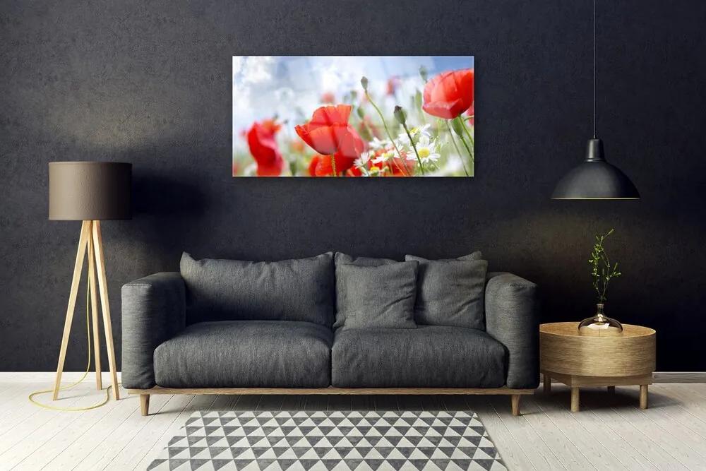 Obraz na skle Máky Sedmikrásky Květiny 140x70 cm