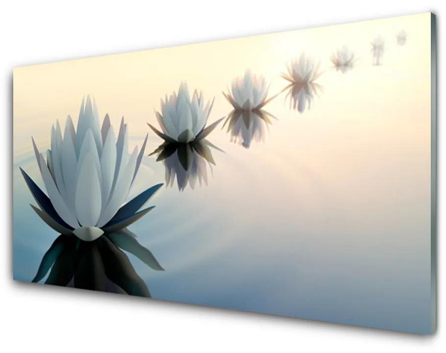 Plexisklo-obraz Vodní Lilie Bílý Leknín 125x50 cm