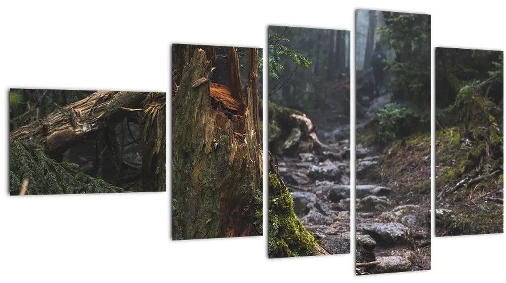 Obraz - V lese (110x60 cm), 40 dalších rozměrů