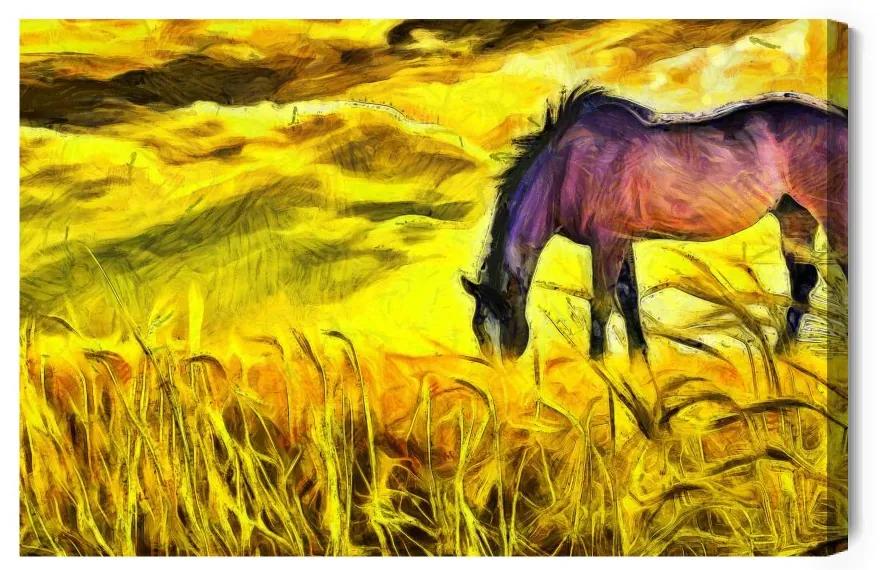 Obraz Malovaný Kůň V Poli Nedostatek Nedostatek Přírodní plátno 120x80