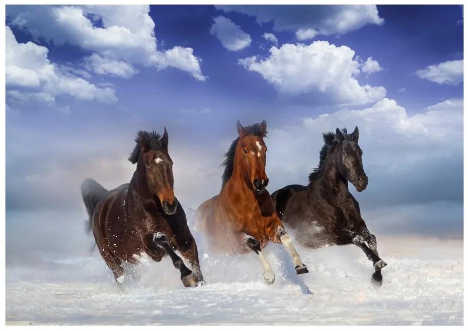 Fototapeta - Koně na sněhu 200x140 + zdarma lepidlo