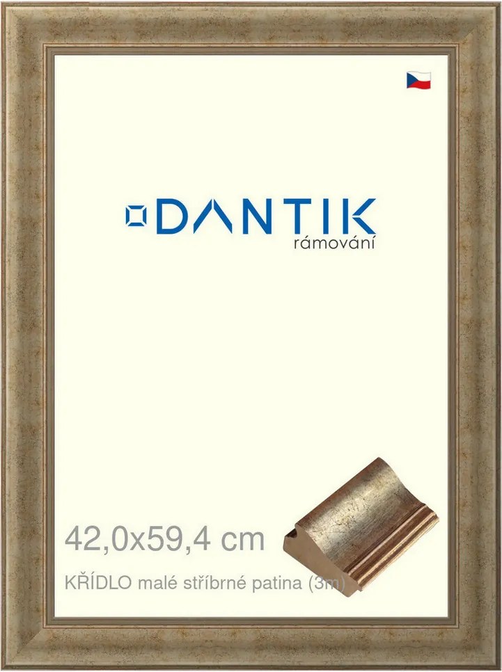 DANTIK rámeček 42x59,4 | KŘÍDLO malé stříbrné patina (Plexi Čiré)