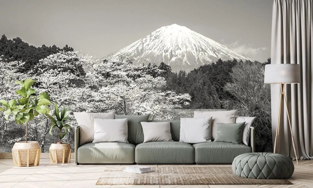 Samolepící fototapeta hora Fuji v černobílém - 300x200 cm