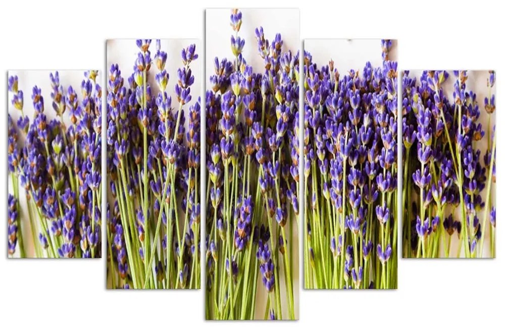 Gario Obraz na plátně Lavender - 5 dílný Rozměry: 100 x 70 cm