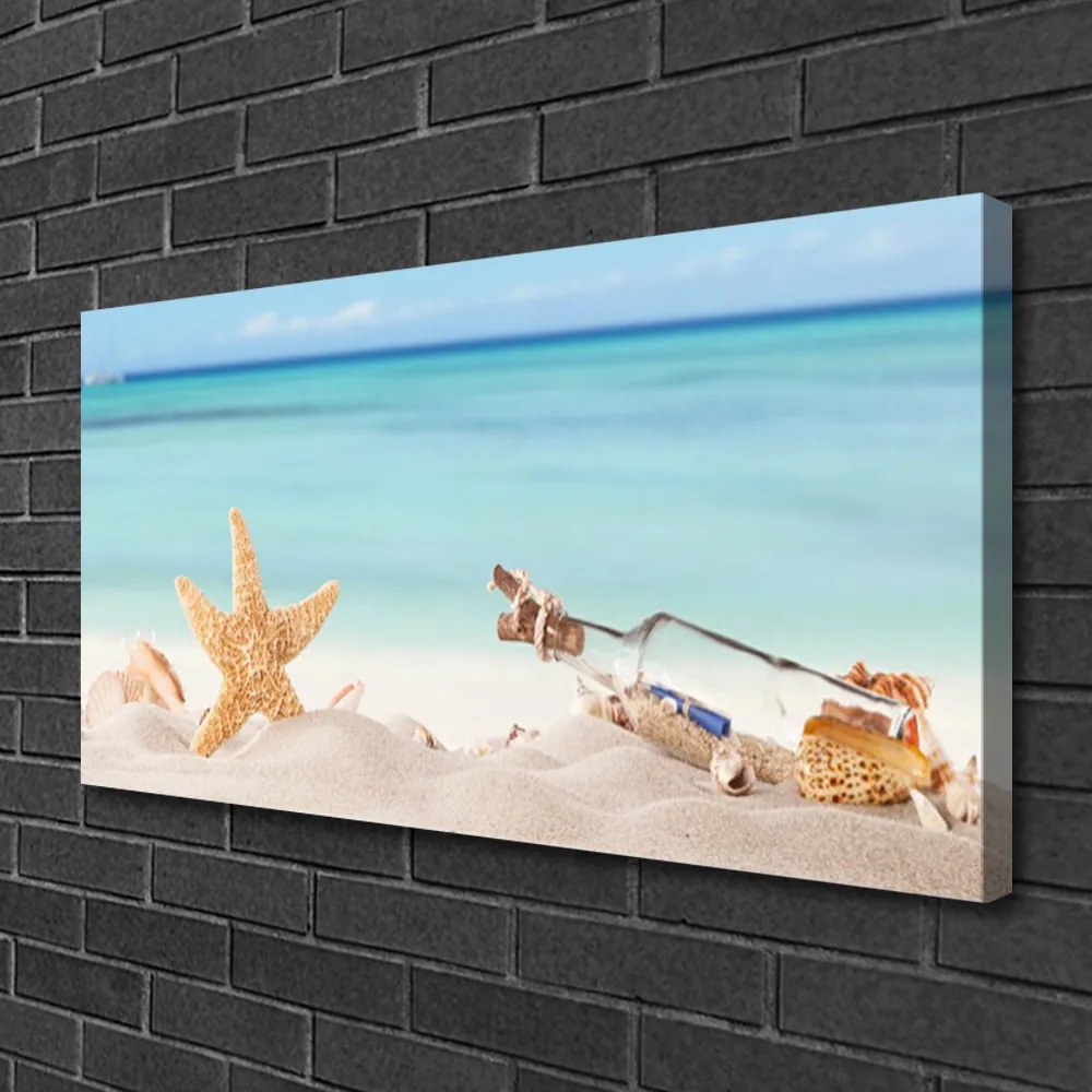 Obraz na plátně Hvězdice Mušle Pláž 100x50 cm