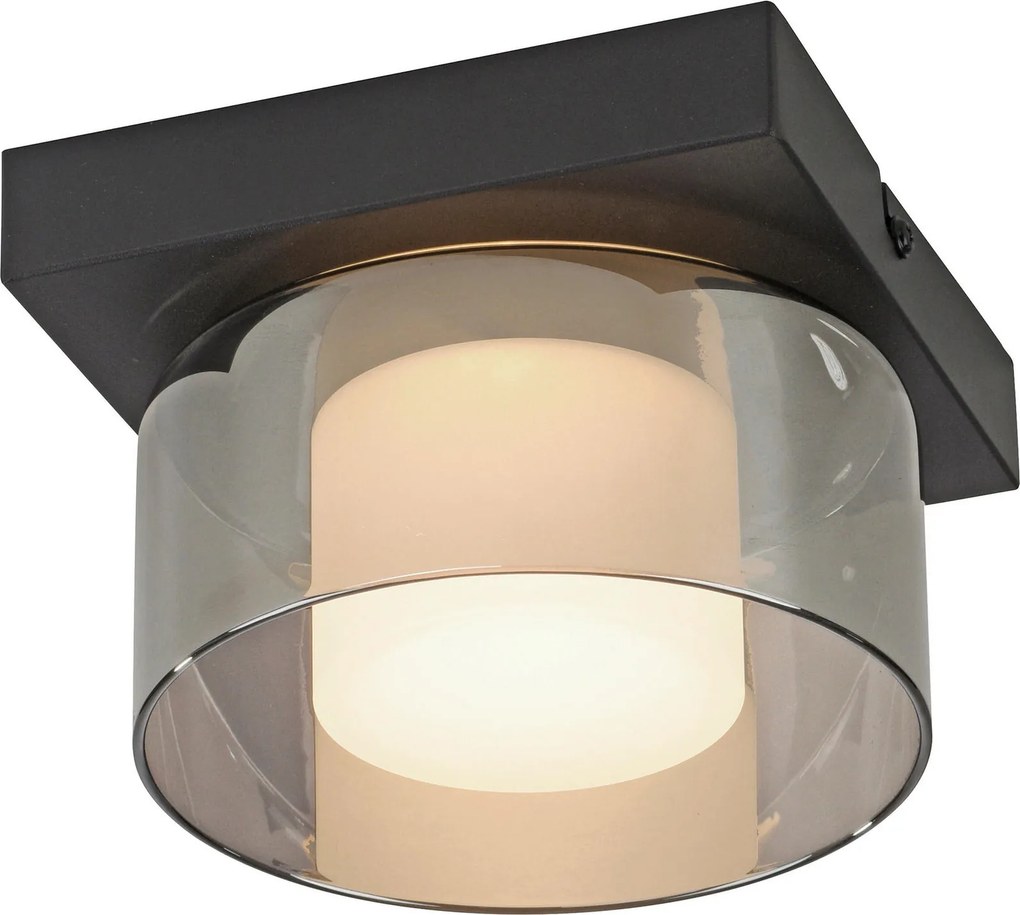 XXXLutz STROPNÍ LED SVÍTIDLO, 15/15/10 cm Paul Neuhaus - Stropní svítidla - 003467034901