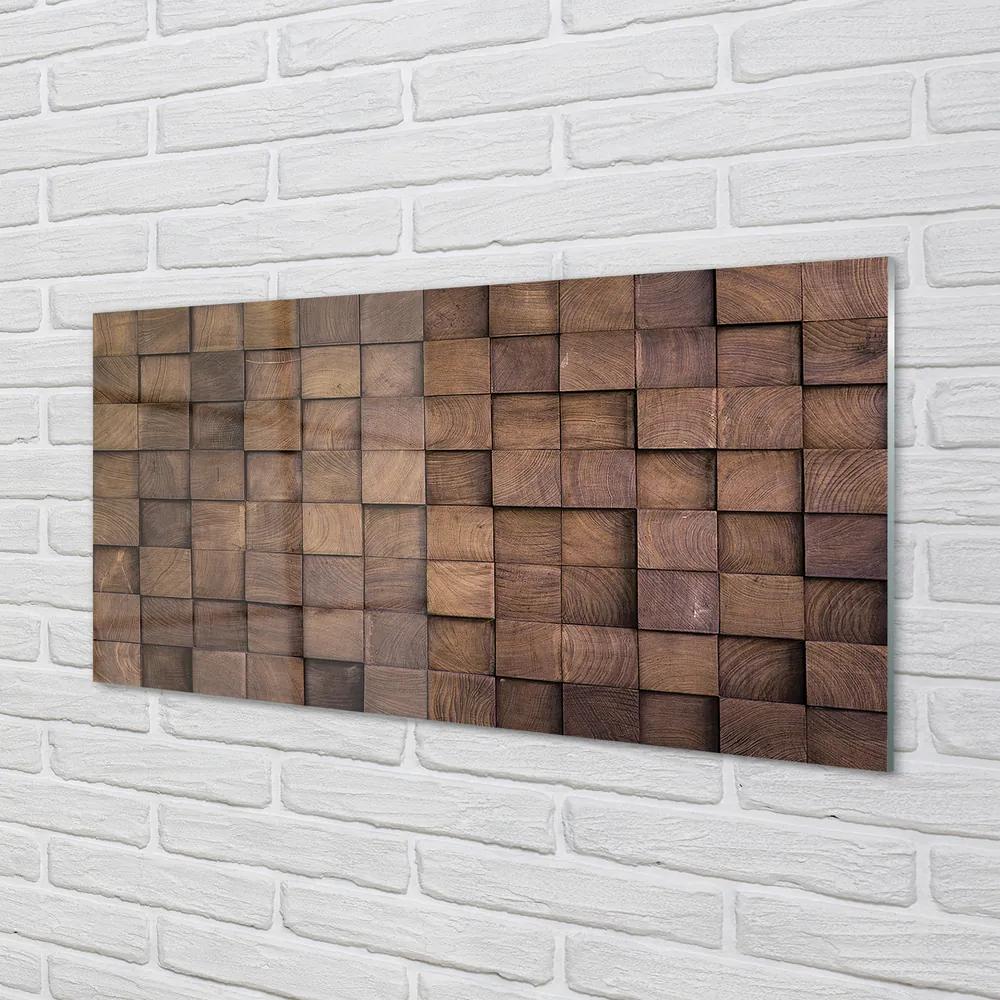 akrylový obraz Dřeva cat 100x50 cm