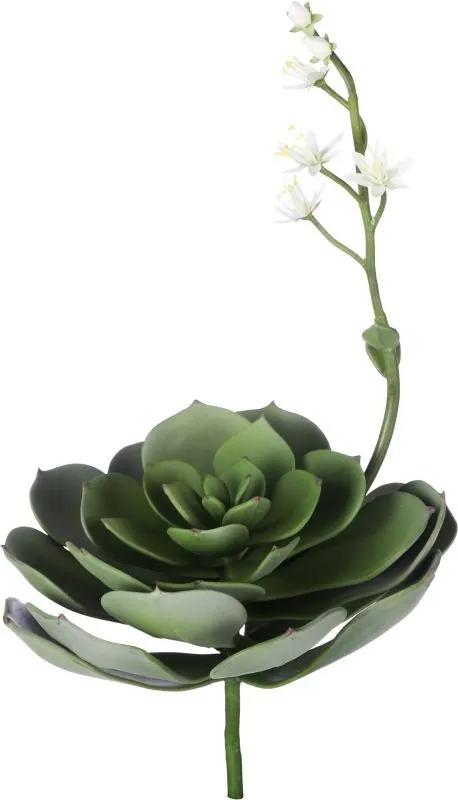 LENE BJERRE Sukulent s bílým květem FLORA, zelený