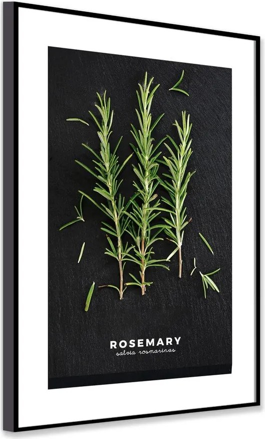 Obraz 50x70 cm Rosemary – Styler