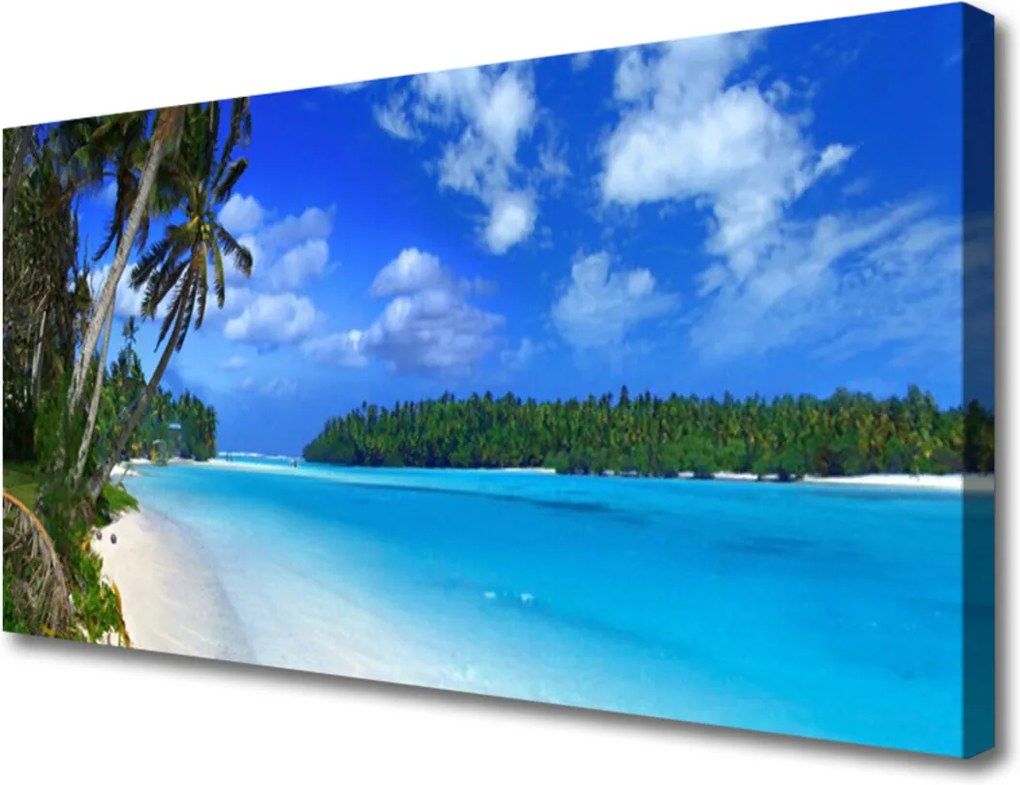 Obraz na plátně Pláž Palmy Moře Krajina