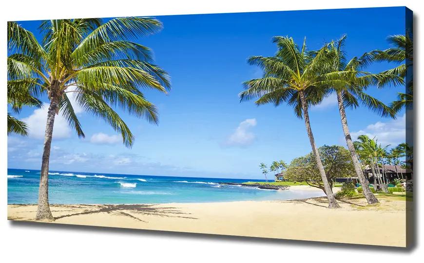 Wallmuralia Foto obraz na plátně Tropická pláž 120x60 cm