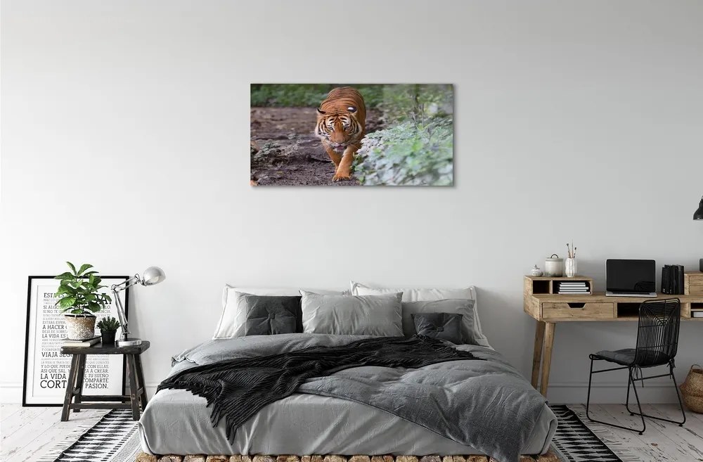 Obraz na skle Tiger Woods 140x70 cm