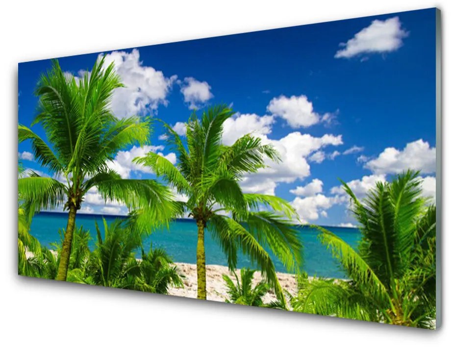 Obraz na skle Moře Palma Stromy Krajina 100x50 cm