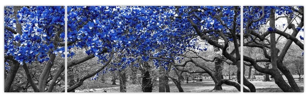 Obraz - Modré stromy, Central Park, New York (170x50 cm)