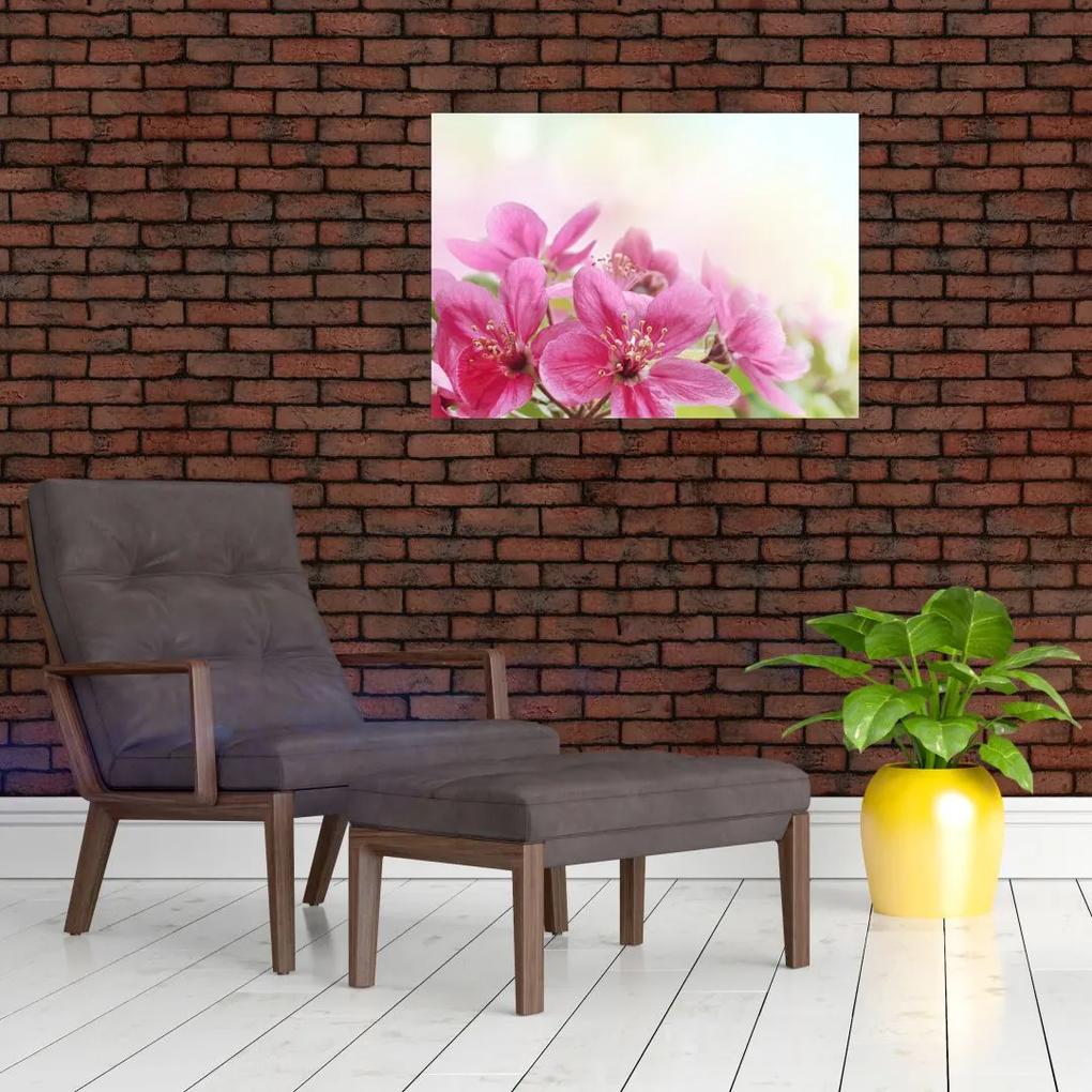 Skleněný obraz - Růžové květy (70x50 cm)
