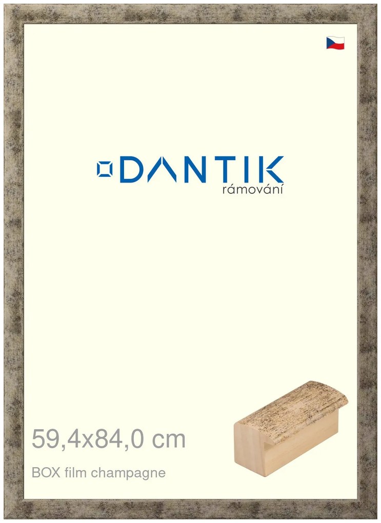 DANTIK rámeček 59,4x84 | BOX film champagne (Plexi Čiré)