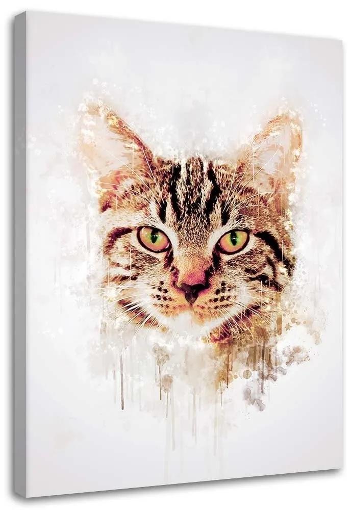 Gario Obraz na plátně Kočičí hlava - Cornel Vlad Rozměry: 40 x 60 cm