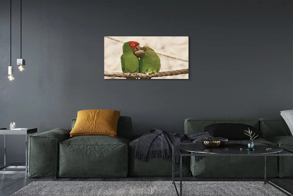 Obrazy na plátně zelené papoušci 100x50 cm