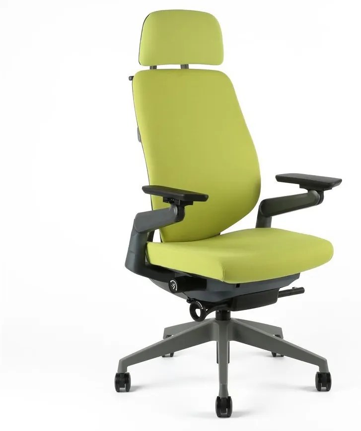 Office Pro Kancelářská ergonomická židle Office Pro KARME — více barev, s podhlavníkem a područkami Zelená F01