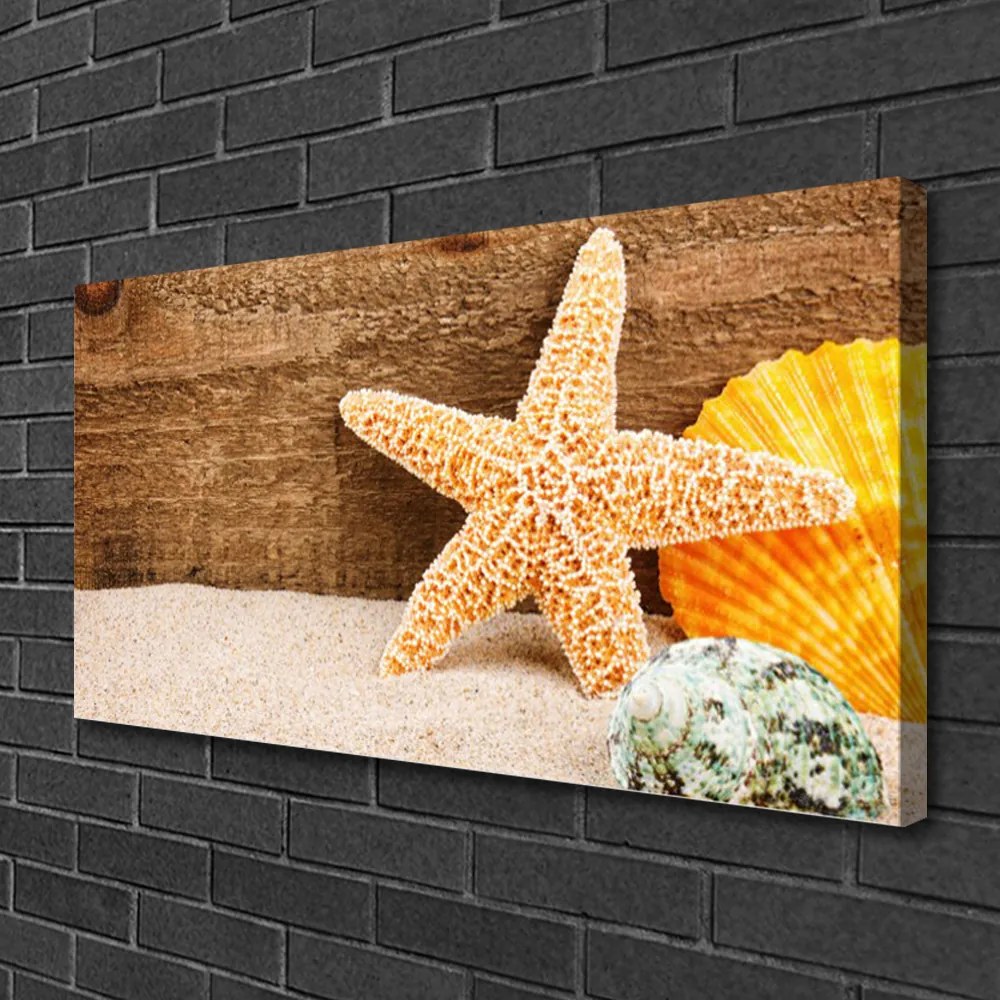 Obraz na plátně Písek Hvězdice Umění 125x50 cm