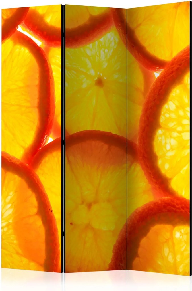 Paraván - Orange slices [Room Dividers] 135x172