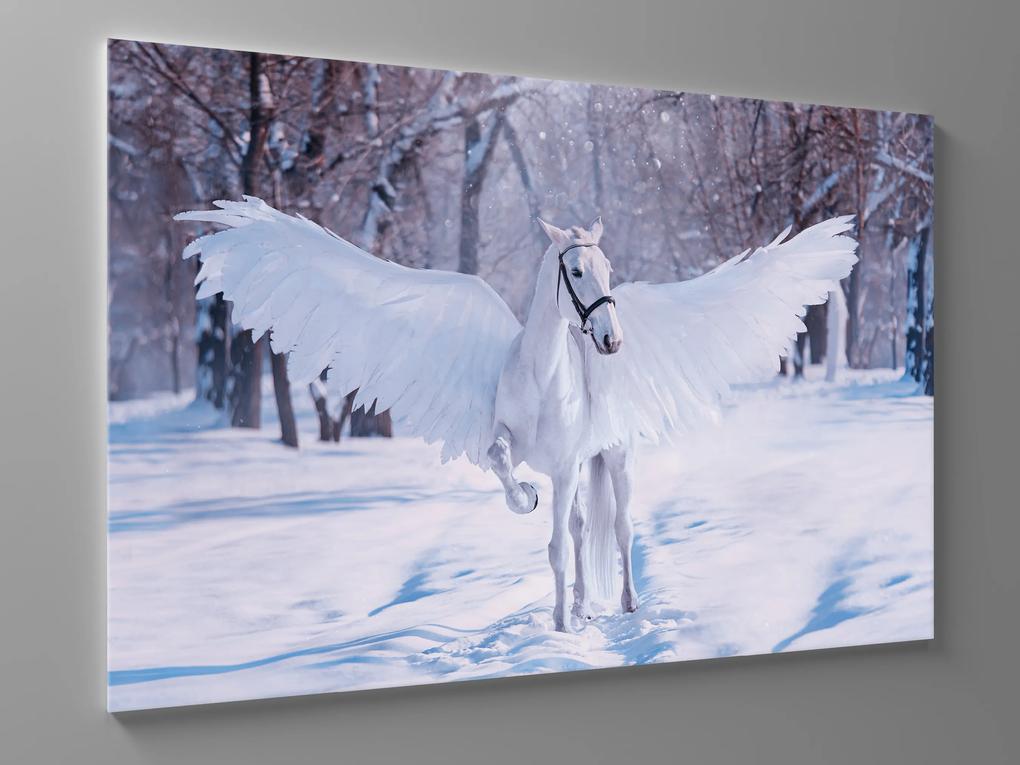 Liox Obraz pegas na sněhu Rozměr: 100 x 65 cm