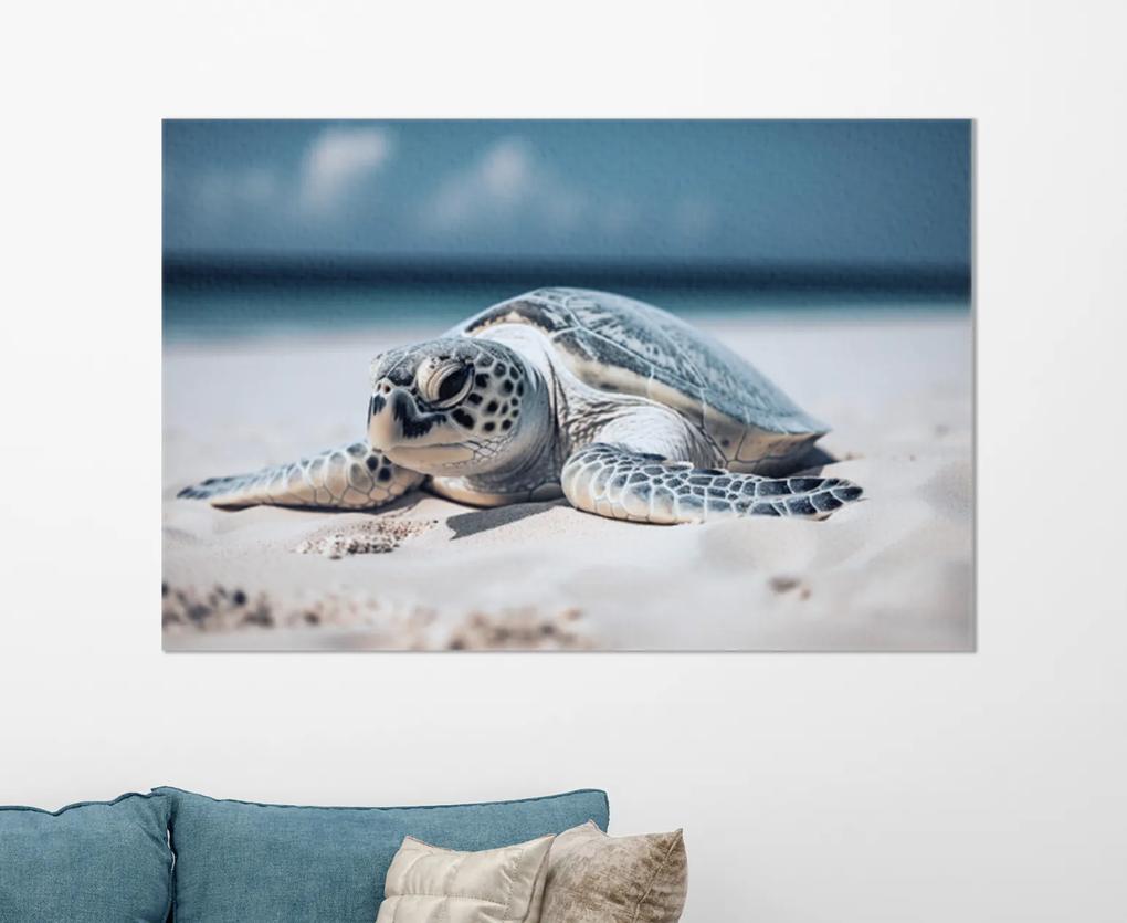 Obraz na plátně - želva na písečné pláži FeelHappy.cz Velikost obrazu: 60 x 40 cm