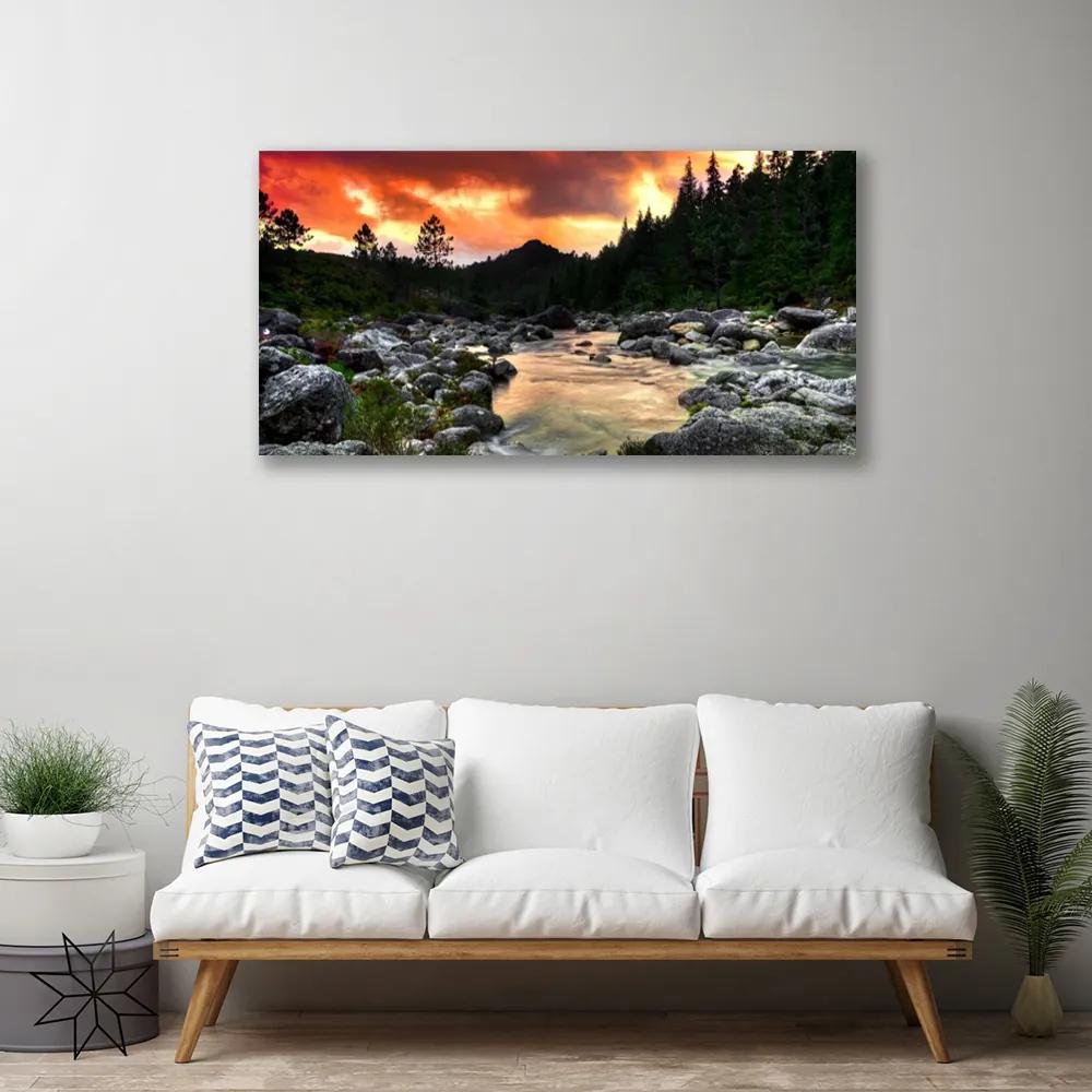 Obraz na plátně Jezero Kameny Les Příroda 100x50 cm