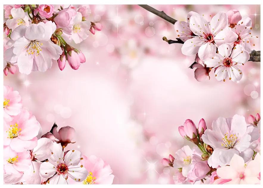 Samolepící fototapeta - Jarní višňový květ 147x105