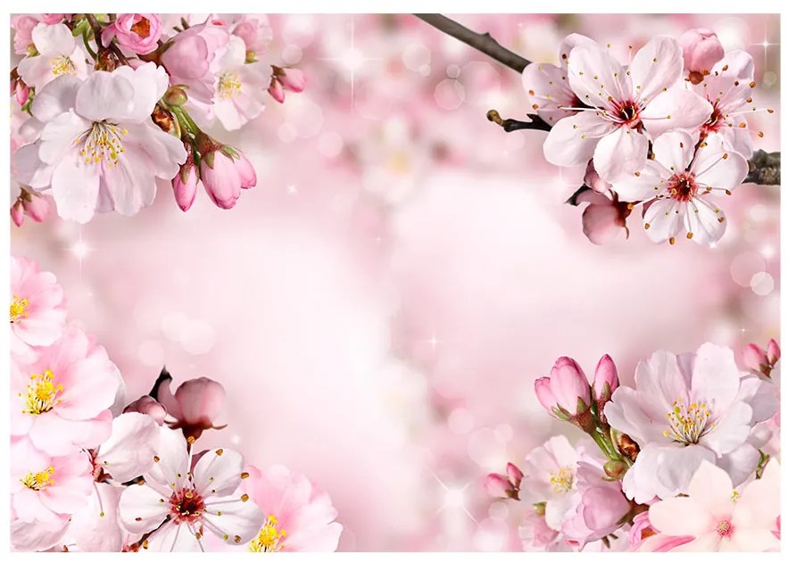 Samolepící fototapeta - Jarní višňový květ 98x70
