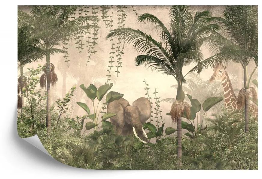 Fototapeta Tropical Trees And Leaves For Digital Printing Wallpaper, Custom Design Wallpaper - 3D Strukturální vinyl 180x120