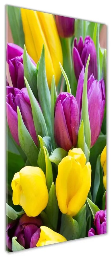 Wallmuralia Fotoobraz na skle Barevné tulipány 50x125 cm