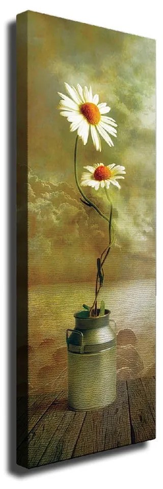 Nástěnný obraz na plátně Daisy, 30 x 80 cm