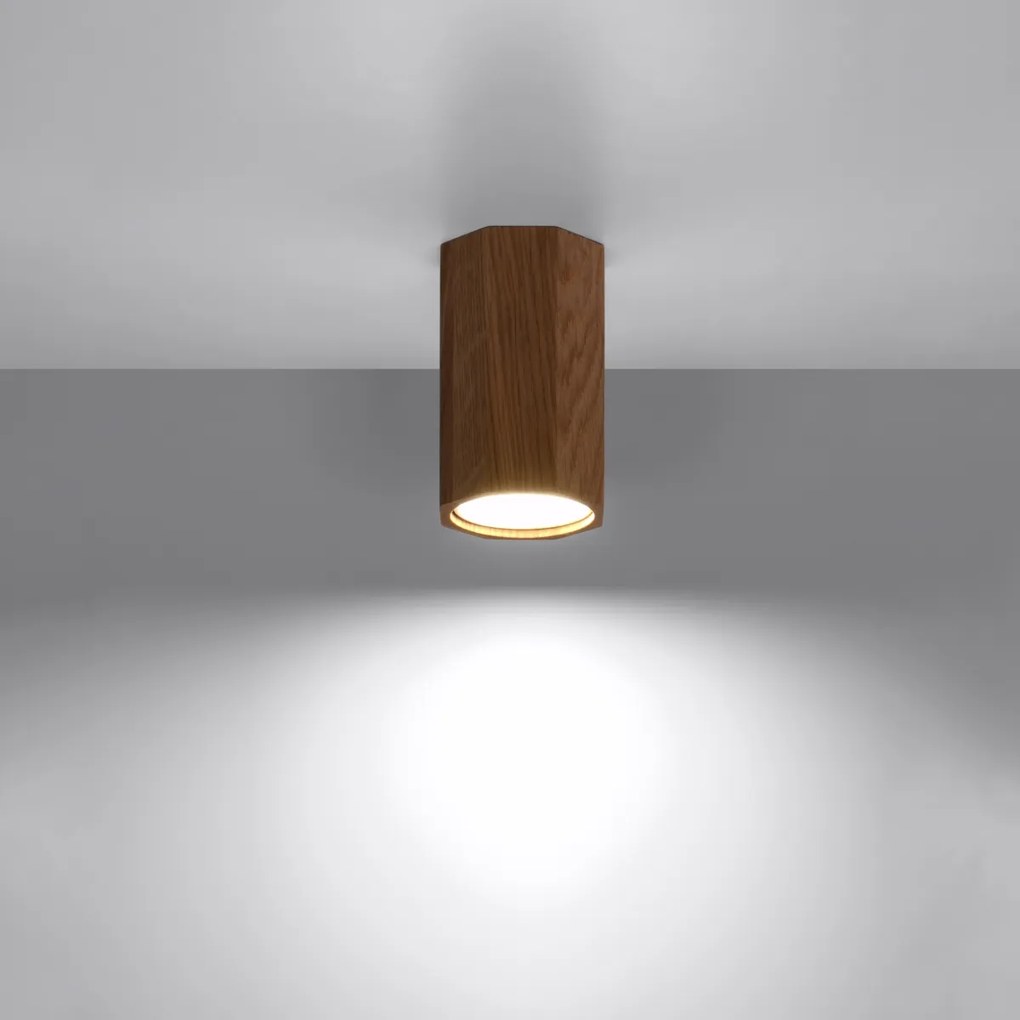 Sollux Lighting Stropní svítidlo ZEKE 10 dub